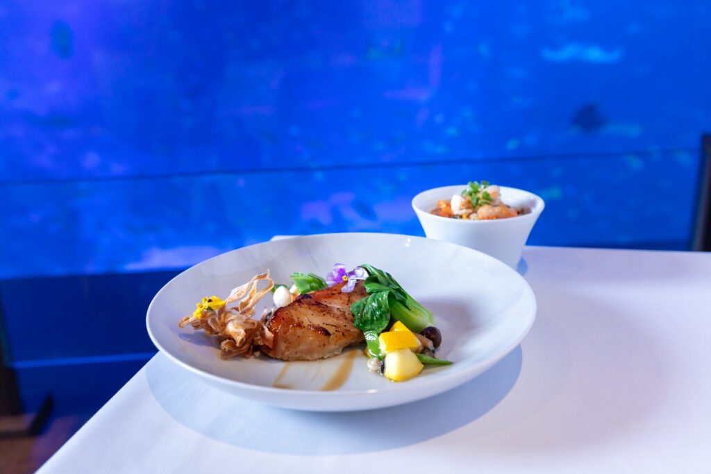 Escape into the underwater world | epicure Magazine