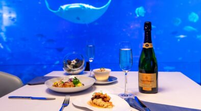 Escape into the underwater world | epicure Magazine
